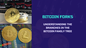 Bitcoin Forks: Understanding the Branches in the Bitcoin Family Tree | dxspot.io